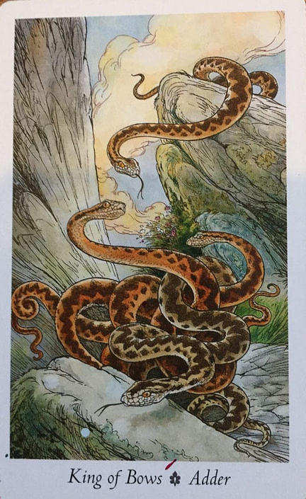 The Adder Rising - Elyssa Vulpes Music